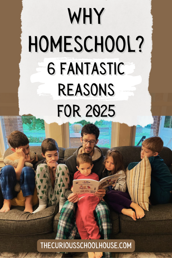 35 Best Homeschool Read Alouds (for all ages + stages) - The Curious ...