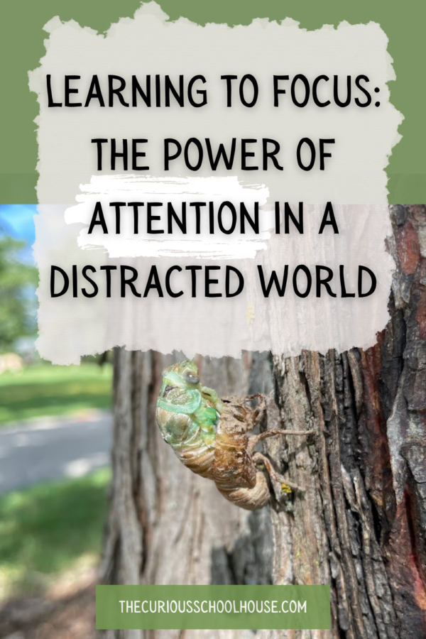 Learning to Focus: The Power of Attention in a Distracted World - The ...