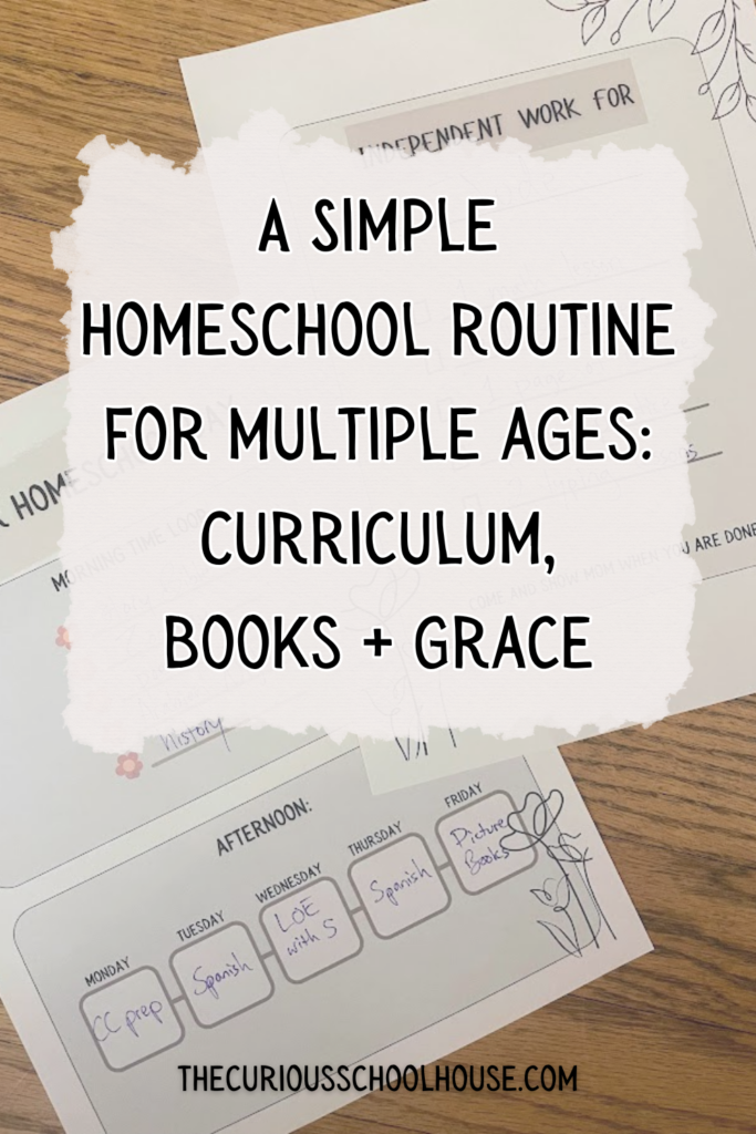 Simple Homeschool Routine for Multiple Ages: Curriculum, Books, + Grace ...